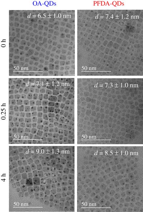 Particle Morphologies Of Oa Qds And Pfda Qds Films Observed By Tem