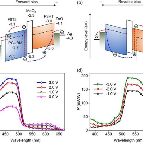 The Schematic Diagrams Showing The Charge Carrier Dynamics In The Download Scientific Diagram