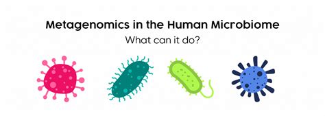 Uses Of Metagenomics In Pharmaceutical Development