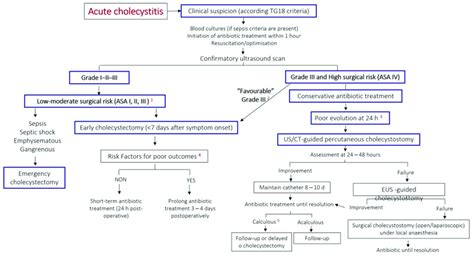 Authors Proposal For A Treatment Algorithm For Acute Cholecystitis