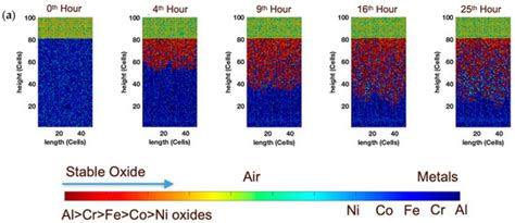 Modeling Oxidation Of Alcocrfeni High Entropy Alloy Using Stochastic Cellular Automata