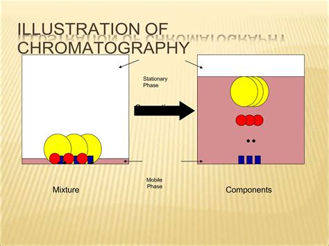 Chromatography Docx The Principle Of Separation Is Mainly Partition Rather Than Adsorption Ppt