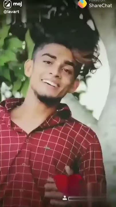 Steve Joseph Tik Tok Youtube