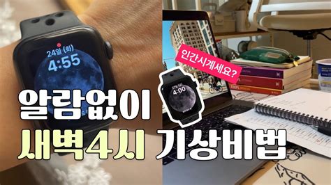 새벽4시 기상러가 알려주는 효과적인 수면 방법 미라클모닝 성공방법취침시간자기계발새벽공부 직장인 브이로그 Youtube