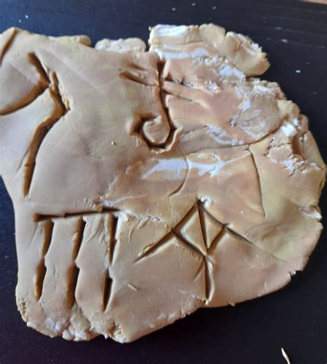 Shang Oracle Bones Raddlebarn Primary And Nursery School