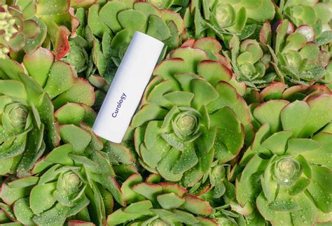 Revolutionize Your Strategy Unveiling Product Development Metrics Winsavvy