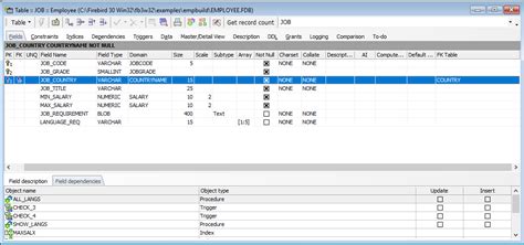 The Database Experts Doc Table Editor