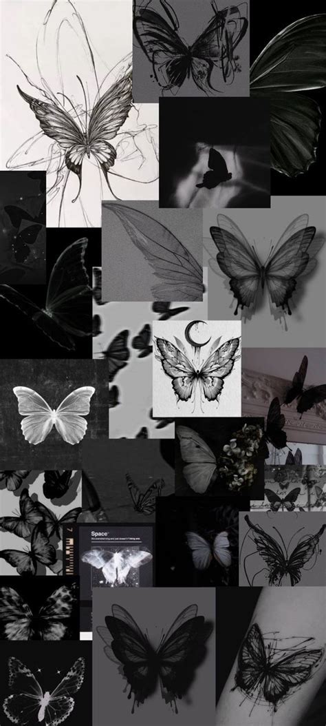 Black Butterfly Aesthetic Pretty Wallpapers Tumblr Butterfly