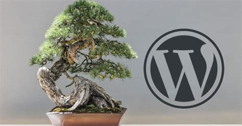 How To Create Custom Endpoints In Wordpress Rest Api With Live Example