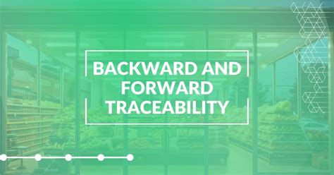Backward And Forward Traceability In The Food Industry