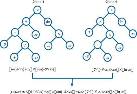 Examples Of Multi Gene Symbolic Trees Each With Three Predictor Input