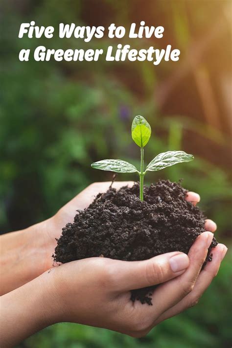 Going Green Part One 5 Easy Ways To Live A Greener Lifestyle Artofit