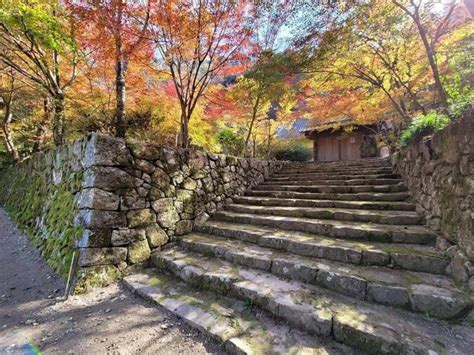 【11 1～】三原市の紅葉名所「佛通寺」。紅葉シーズンに佛殿や本堂などが拝観できる「秋の特別拝観」開催