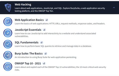 chris davies on linkedin tryhackme security hacker pentester