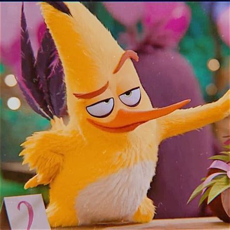 Terence Angry Birds Pfp Chuck Angry Birds Pfp Chuck Angry Birds Icon