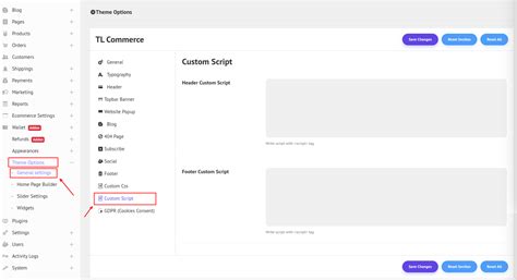 How To Add Custom Script