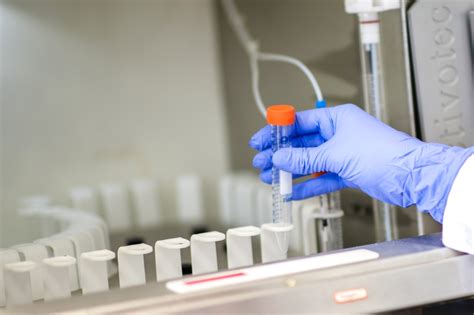 Discover Our Vhh Applications