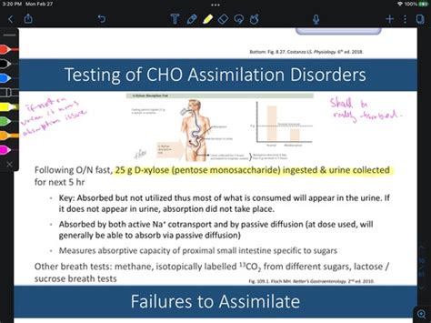 Digestion Absorption Flashcards Quizlet