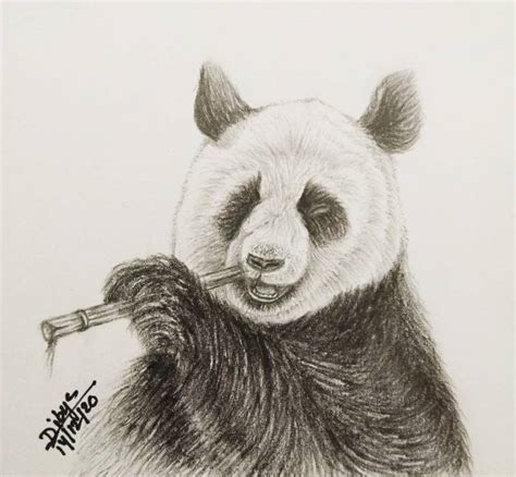 How To Draw A Panda • Inspiration · Sketch A Day