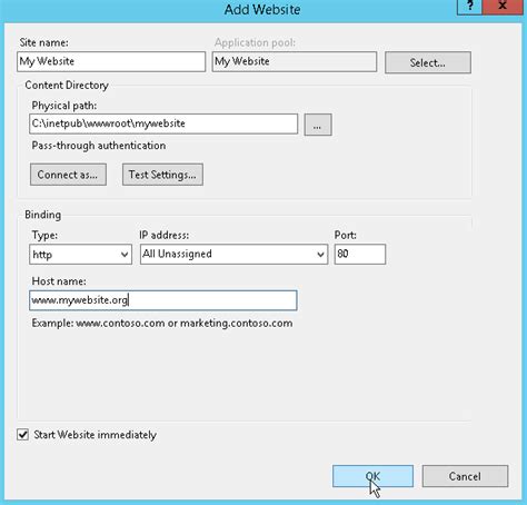IIS How To Setup A Web Site Alex Domenici NET