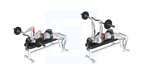 Overhead Triceps Stretch Guide Benefits And Form