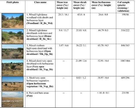 Different Vegetation Morphology Types And Their Physiognomic