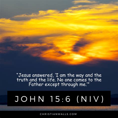 Niv Quotes