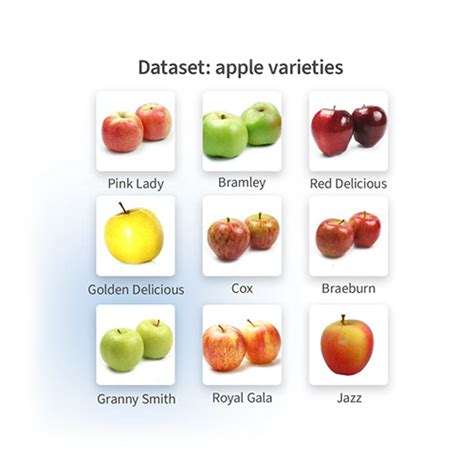 data collection and creation for ai and ml models — innodata