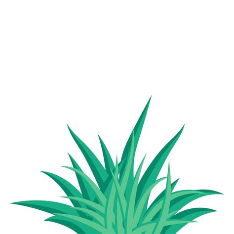 Premium Vector Grass Vector Illustration