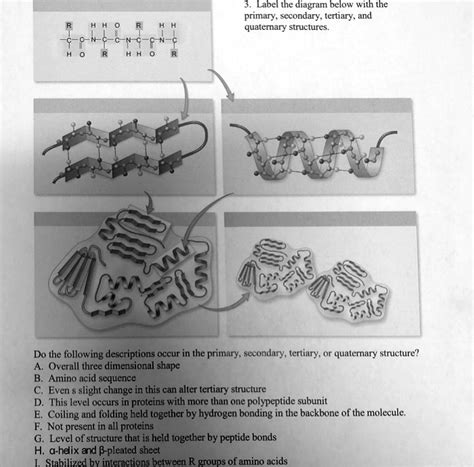 Solved Label The Diagram Below With The Primary Secondary Tertiary