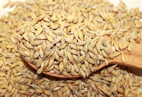 Barley • ТОВ «Крупинка»