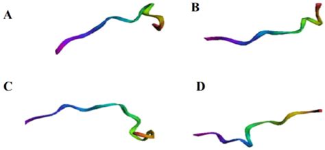 three dimensional structure of peptides generated by molprobity from