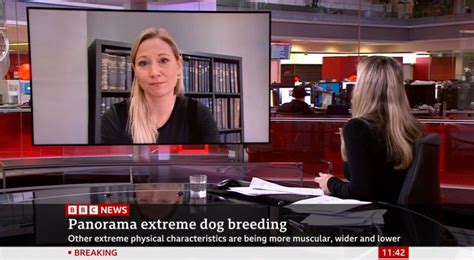 Alison Logan Posted On Linkedin