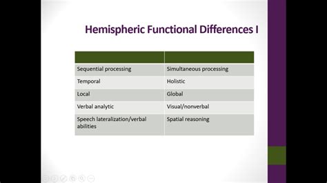 Cerebral Specialisation 2 Diagram Quizlet Cerebral Specialisation 2 Diagram Quizlet
