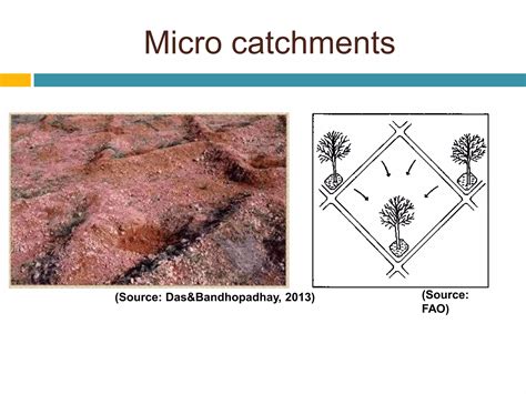 MECHANICAL MEASURES OF SOIL CONSERVATION.pptx | Landscaping | Home & Garden