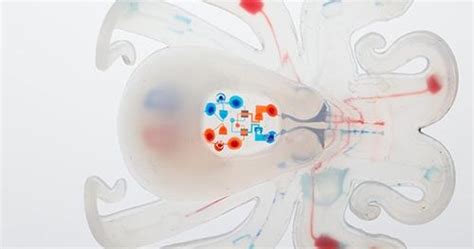 Octobot Is The First Autonomous Soft Robot