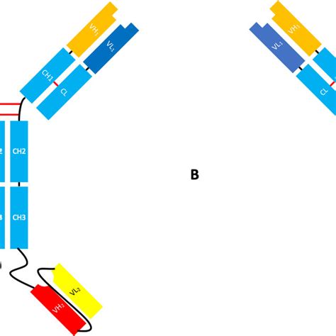 The Tandem Scfv Platform A A Monospecific Bivalent Tandem Scfv