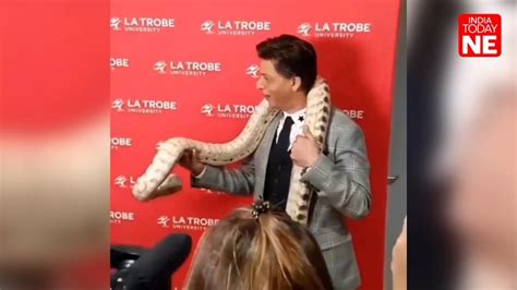 Remember The Time When Shahrukh Khan Wraps A Python Around His Neck