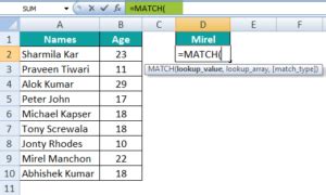 Match Function In Excel Formula Examples How To Use It
