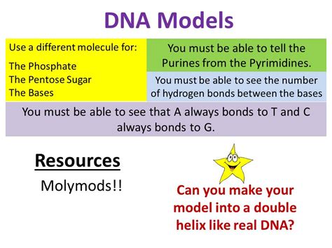 dna structure and properties ocr as a level biology teaching resources