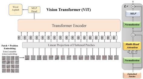Schematic Illustration Of Vit Model 58 Download Scientific Diagram