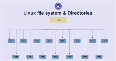 Prashant Chauhan On Linkedin 🔍 Exploring The Depths Of Linux File Systems 🐧💾 Here Is The Complete…