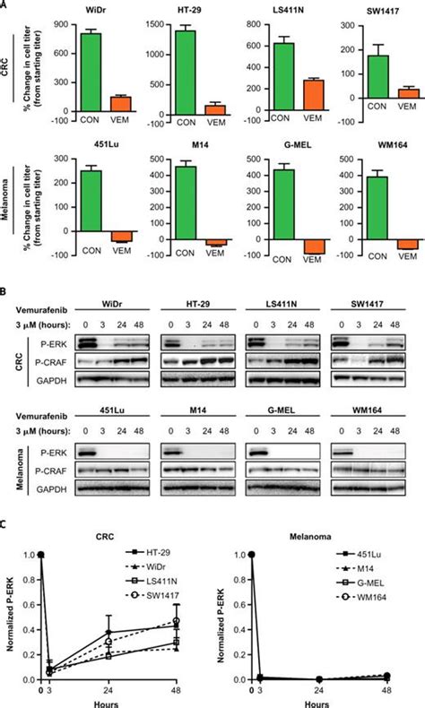 Egfr Mediated Reactivation Of Mapk Signaling Contributes To Insensitivity Of Braf Mutant