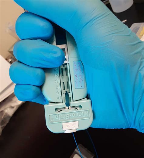 Elegant Split Patch Cord Optogenetics And Neural Engineering Core