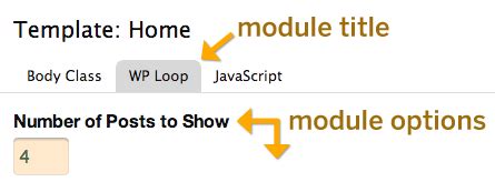 Thesis Options API Array Format