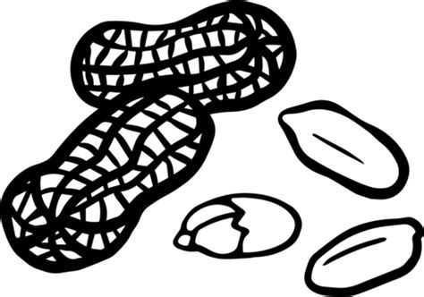 Peanut Clipart Black And White