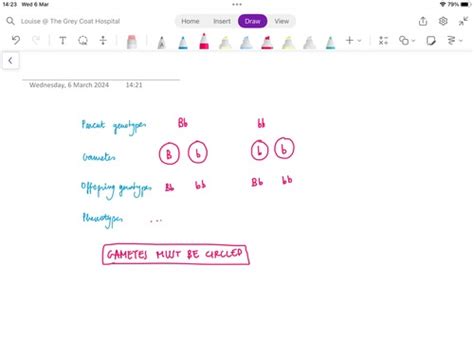 Genetic Diagrams And Chi Squared Flashcards Quizlet