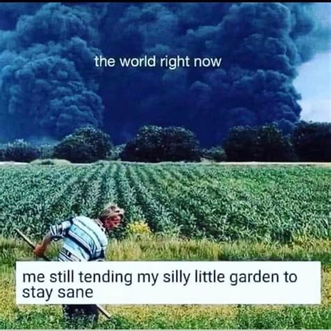 141 Best R Collapsesupport Images On Pholder