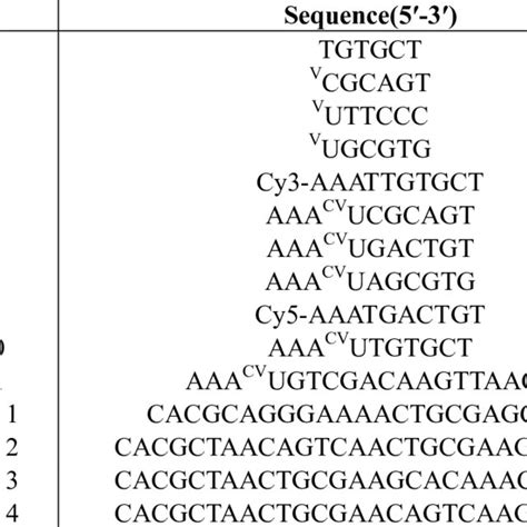 Sequence Of Using Oligonucleotide Download Table Sequence Of Using Oligonucleotide Download Table