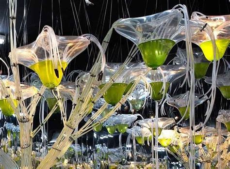 Pin By Howdy On 🦠x Speculative Design Algae Bio Art